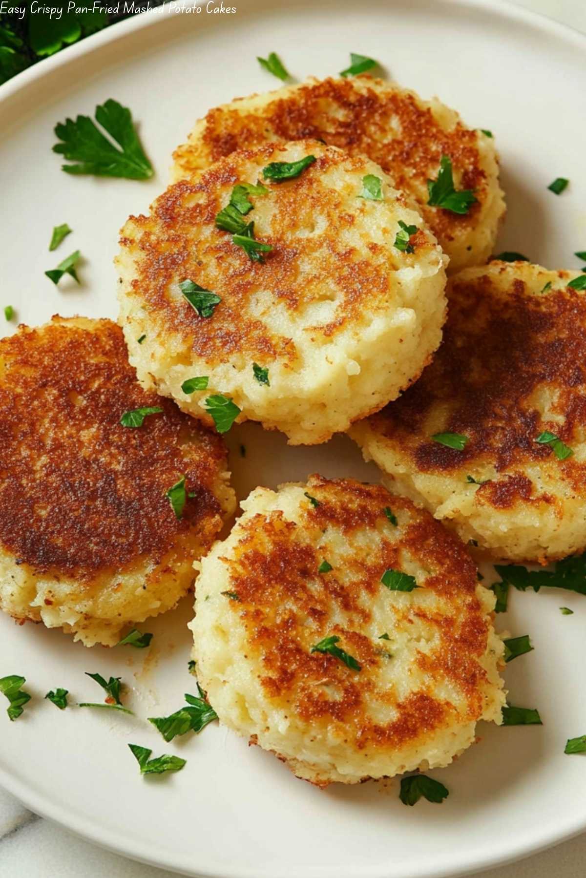 Easy Crispy Pan-Fried Mashed Potato Cakes | JustWorthi